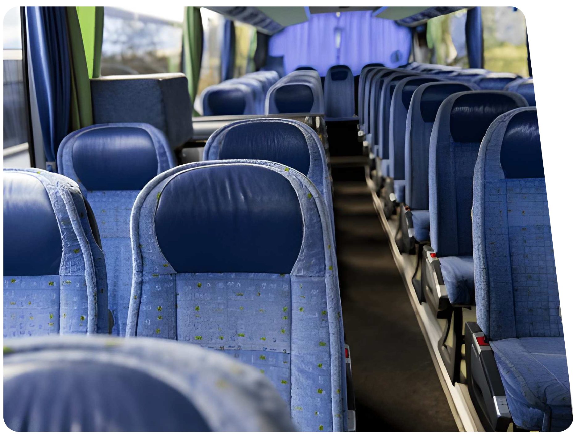 Wedding Bus Rentals in Miami Florida - Southern Bus Lines